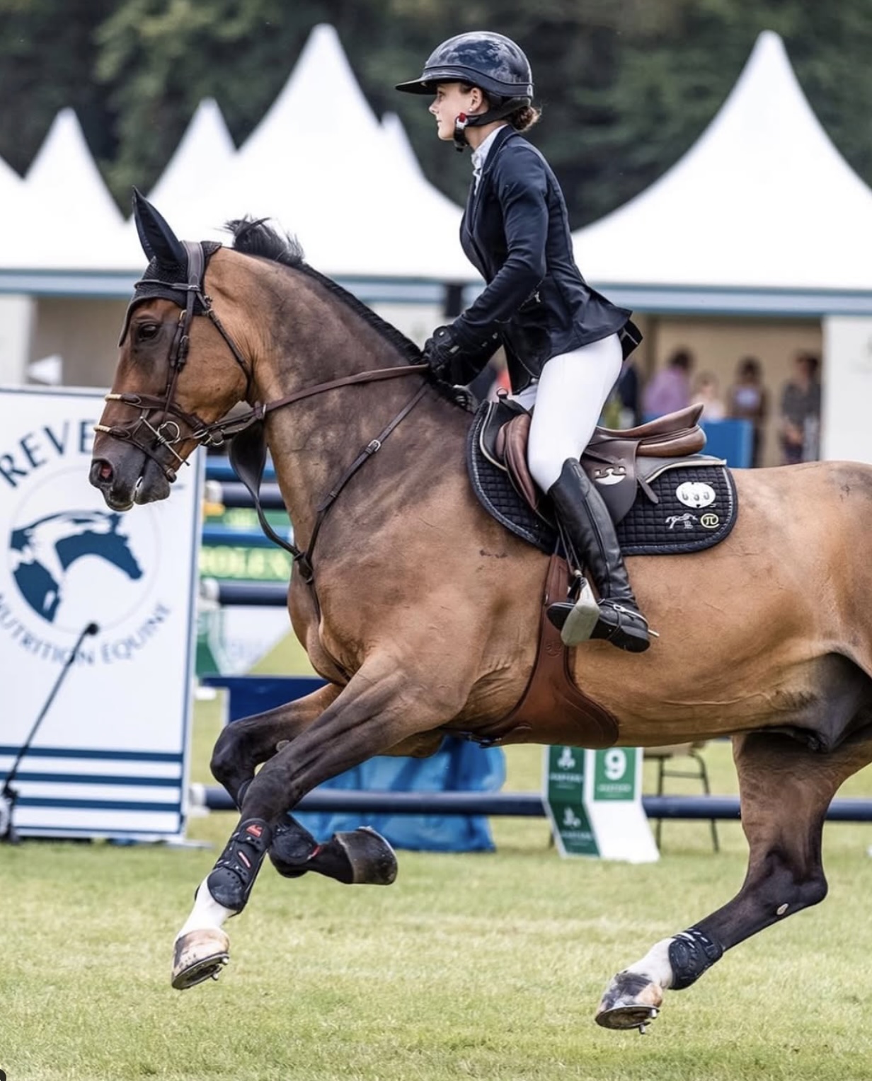 Tapis de selle : les marques préférées des grands noms de l’équitation